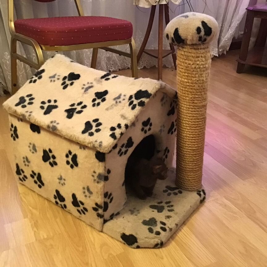 Товары для животных