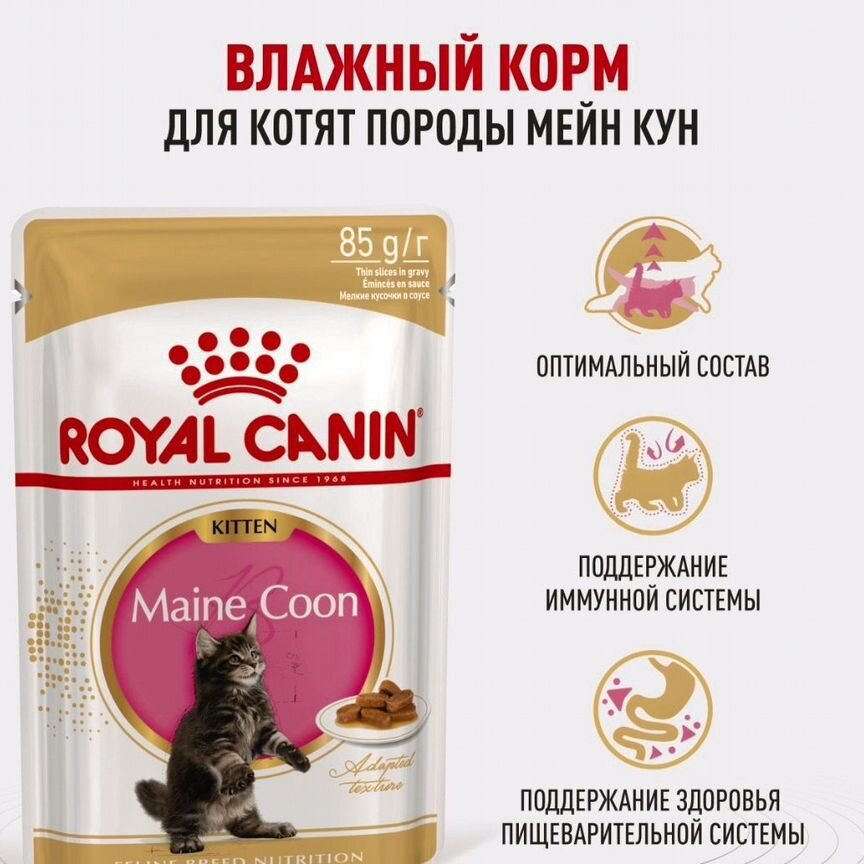 Корм для котят породы Мейн-Кун от Royal Canin