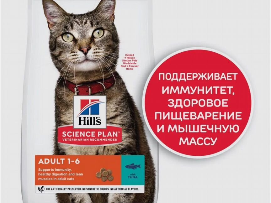 Сухой корм для кошек Hills;Хиллс