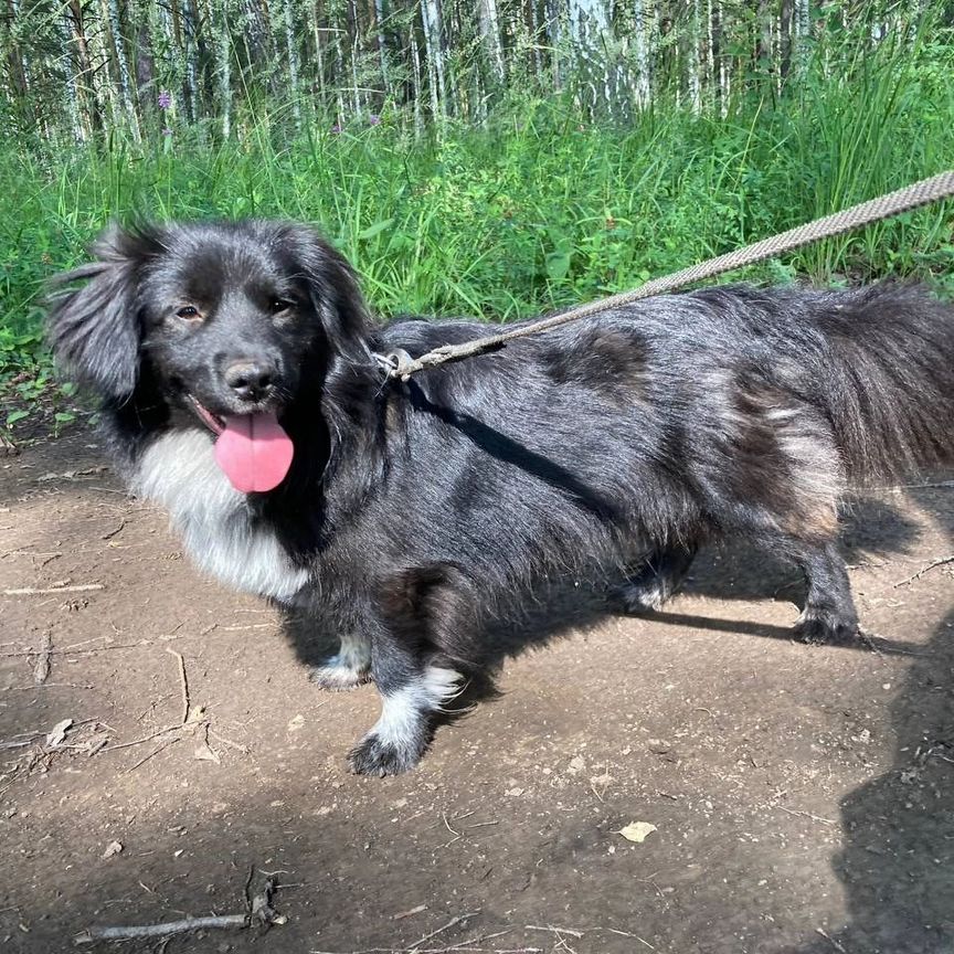 Джоня кастрирован