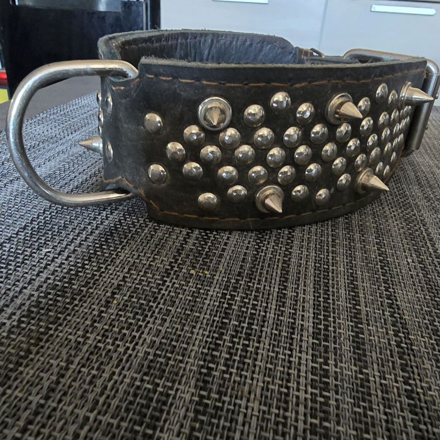 Ошейник для собак