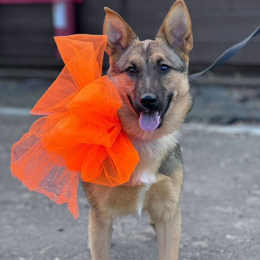 Ее детсво проходит в приюте