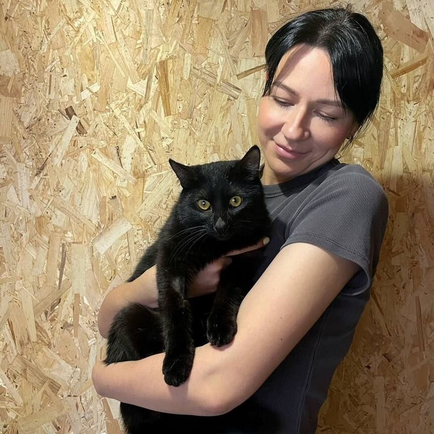 Чудесный черный котик ищет семью