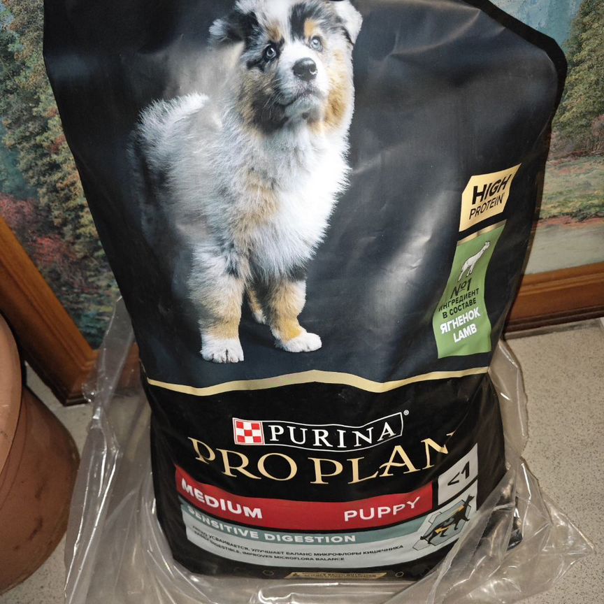 Корм для собак proplan