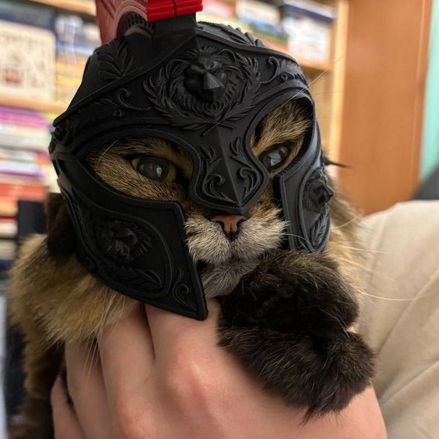 Шлем для кота