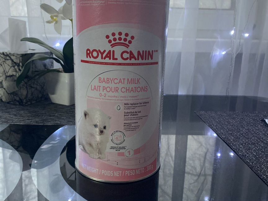Заменитель молока для котят