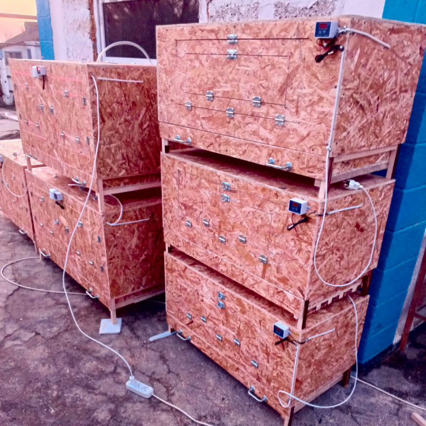 Брудера для цыплят