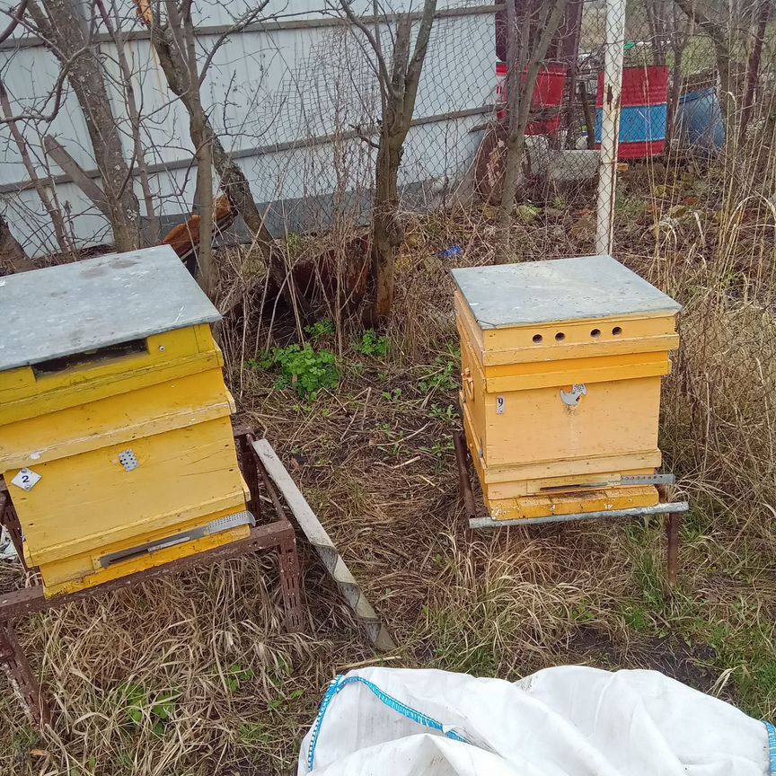 Продам ульи дадан есть рамки