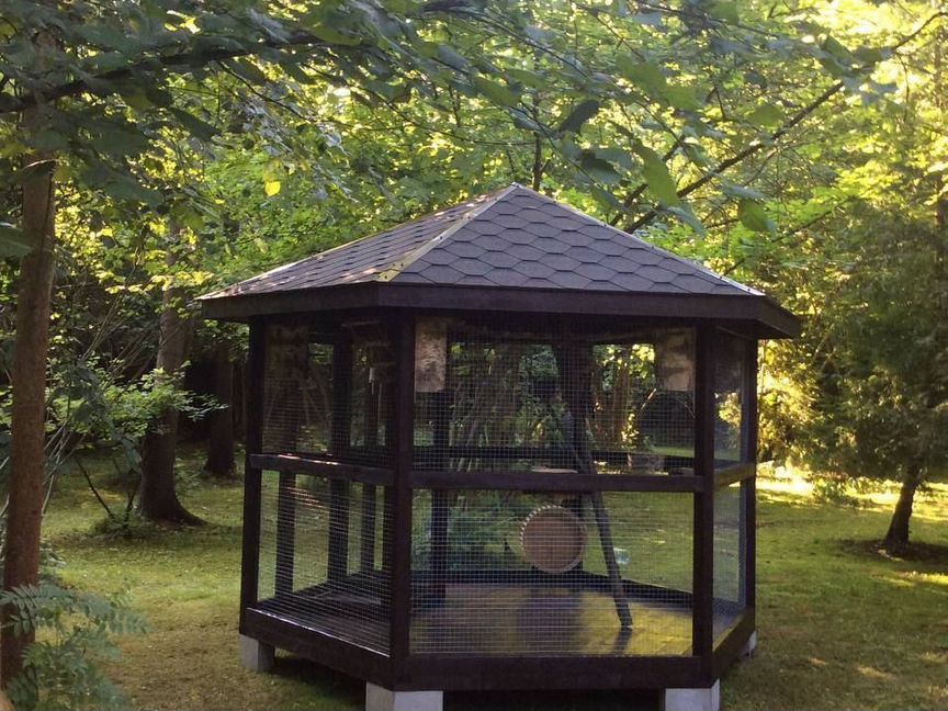 Вольер бельчатник для белок, енотов, сов