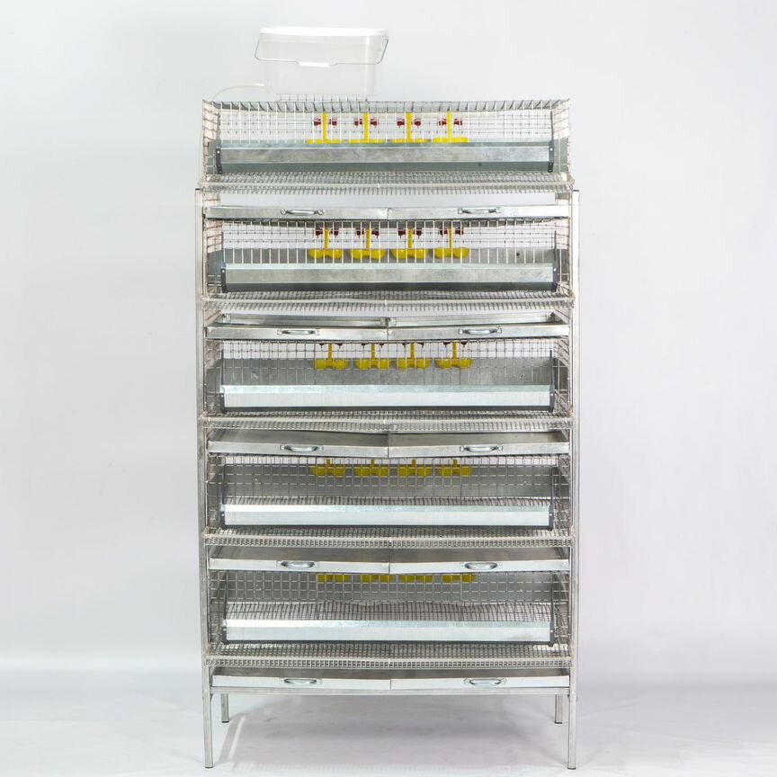 Клетка для 250 перепелов «Премиум» каркасная