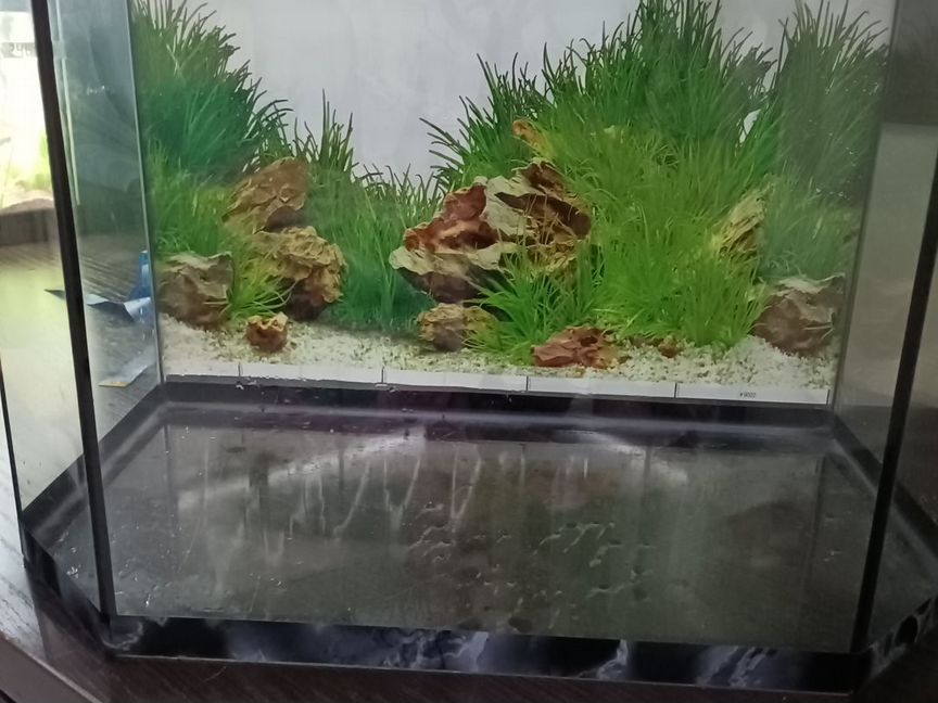 Аквариум панорамный 40 литров