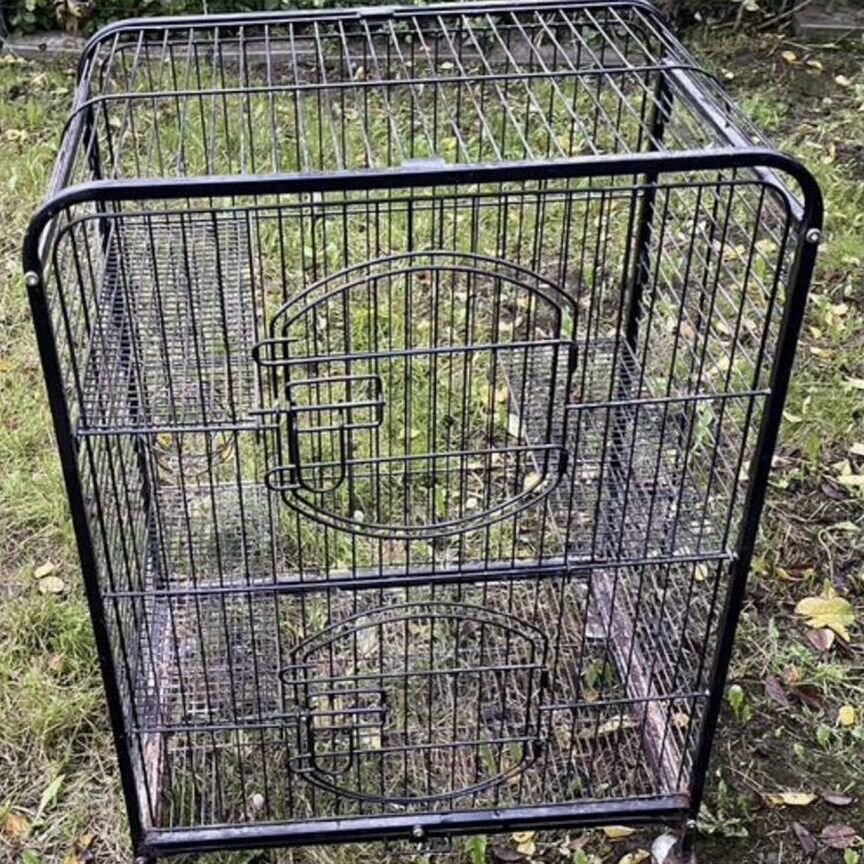 Клетка в Азов