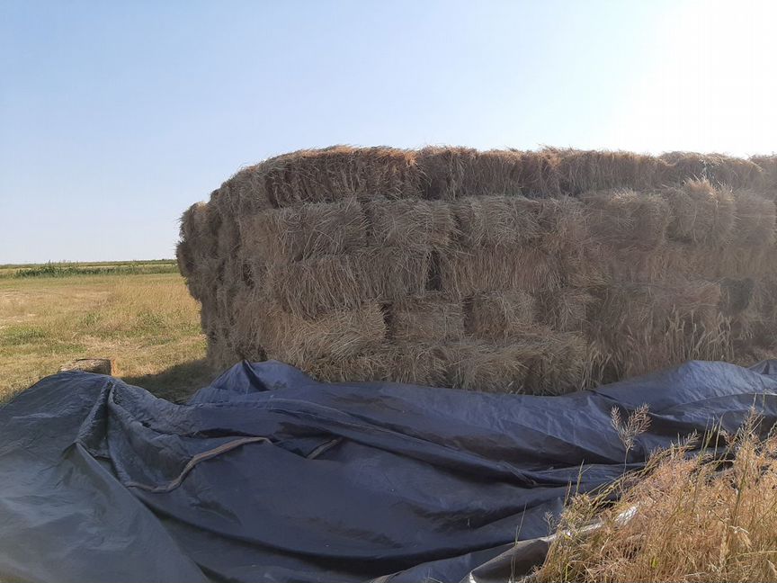 Сено и солома в квадратных тюках