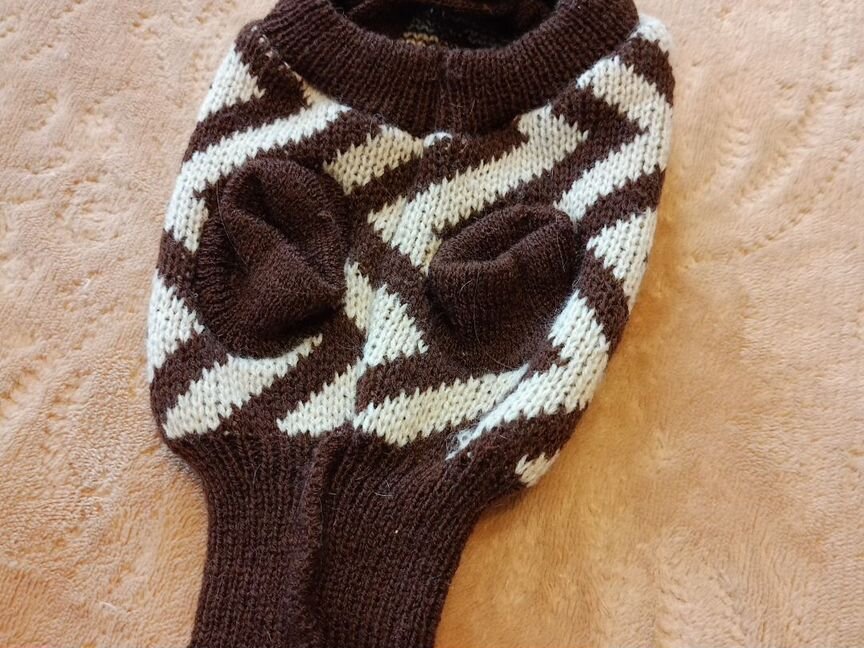 Одежда для кошек