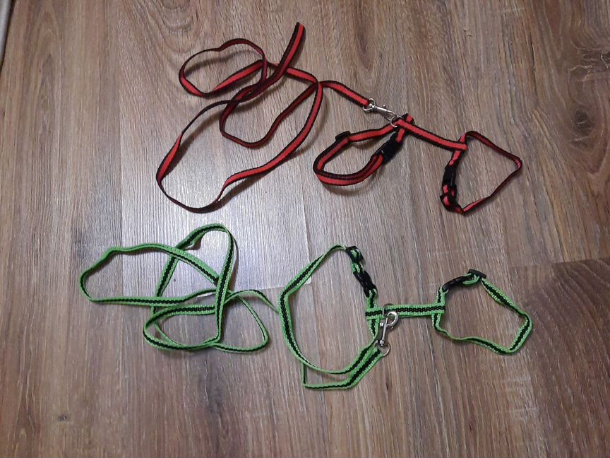 Шлейка для кошки