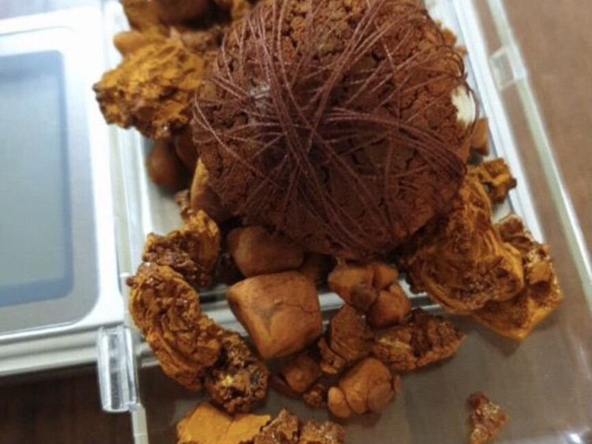 Желчный камень крс