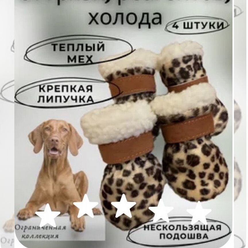 Обувь для маленьких собак зимняя