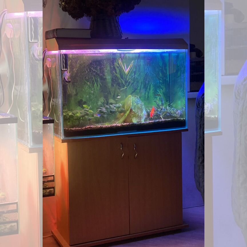 Аквариум с тумбой бу