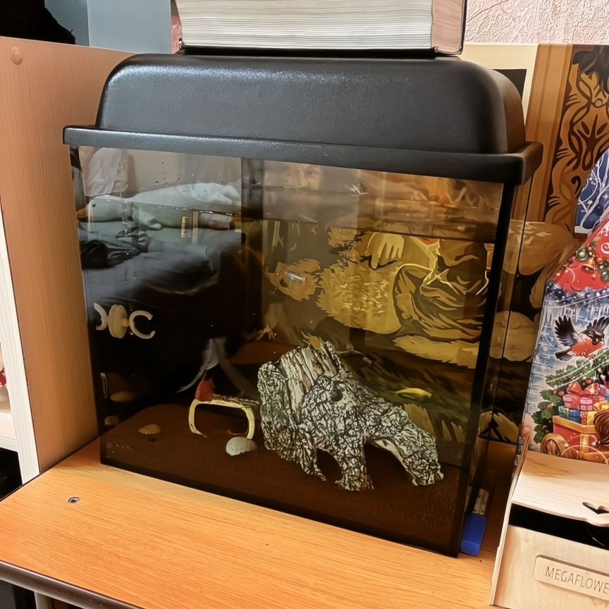 Аквариум с рыбками