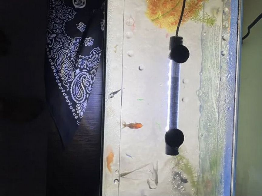 Аквариум с рыбками