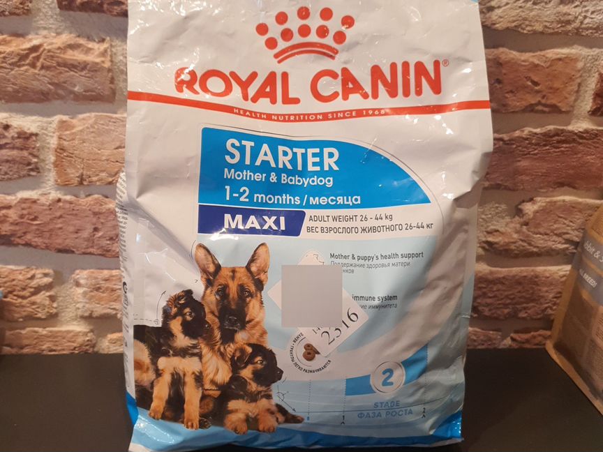 Корм royal canin стартер maxi
