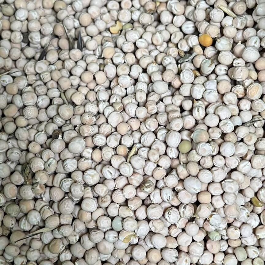 Предлагайте горох с НДС покупаю