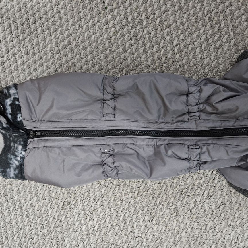 Костюм для таксы