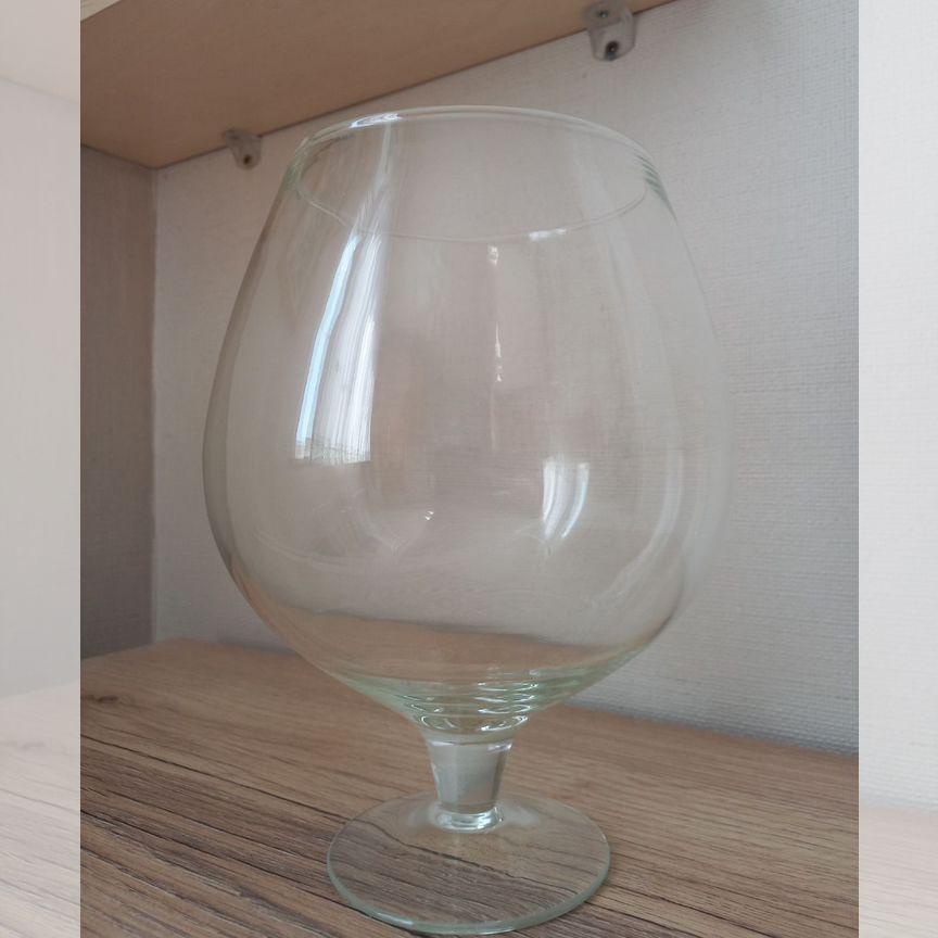 Аквариум рюмка