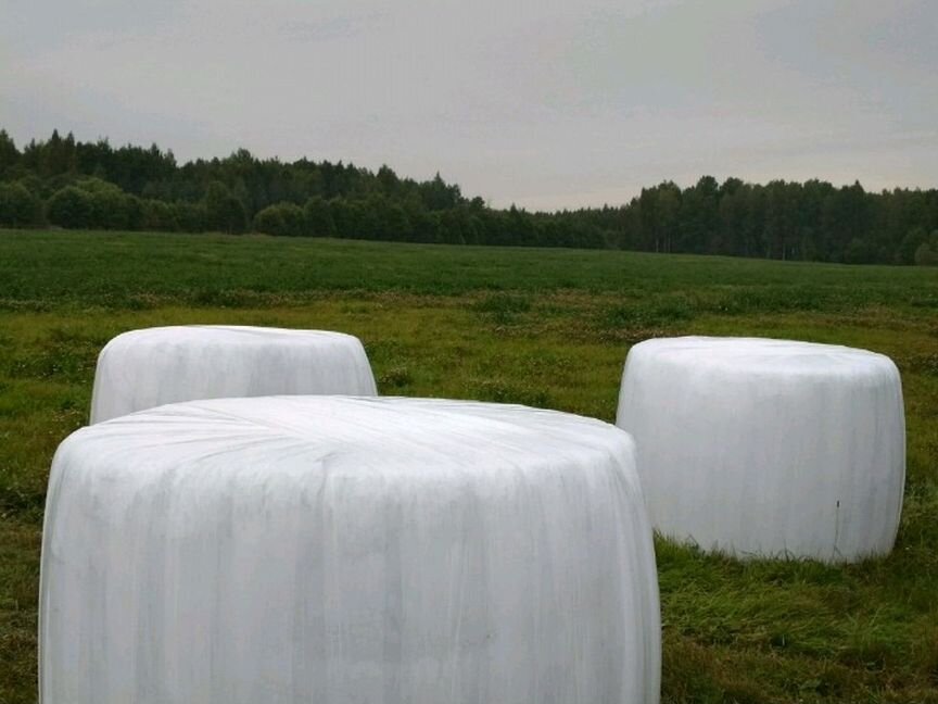 Сенаж в упаковке