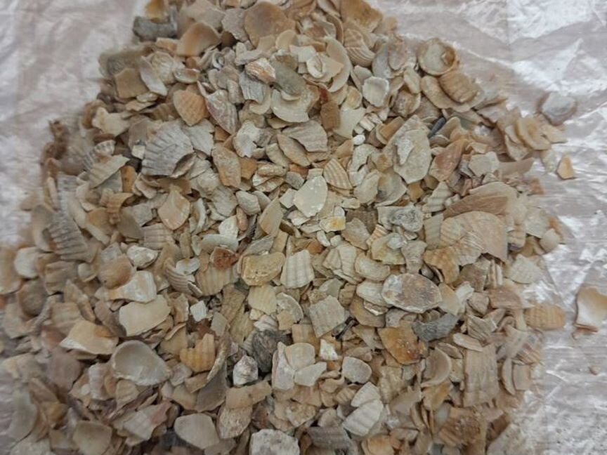 Ракушка для кур 10кг