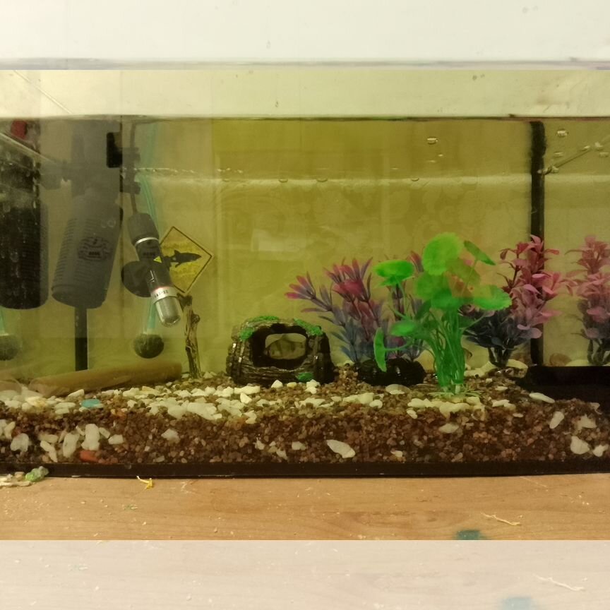 Аквариум 20 литров все в комплекте