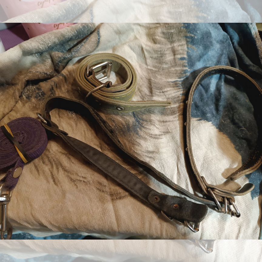 Ошейники для маленькой собаки