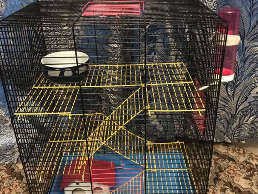 Большая клетка для грызунов крыс дегу хомяков