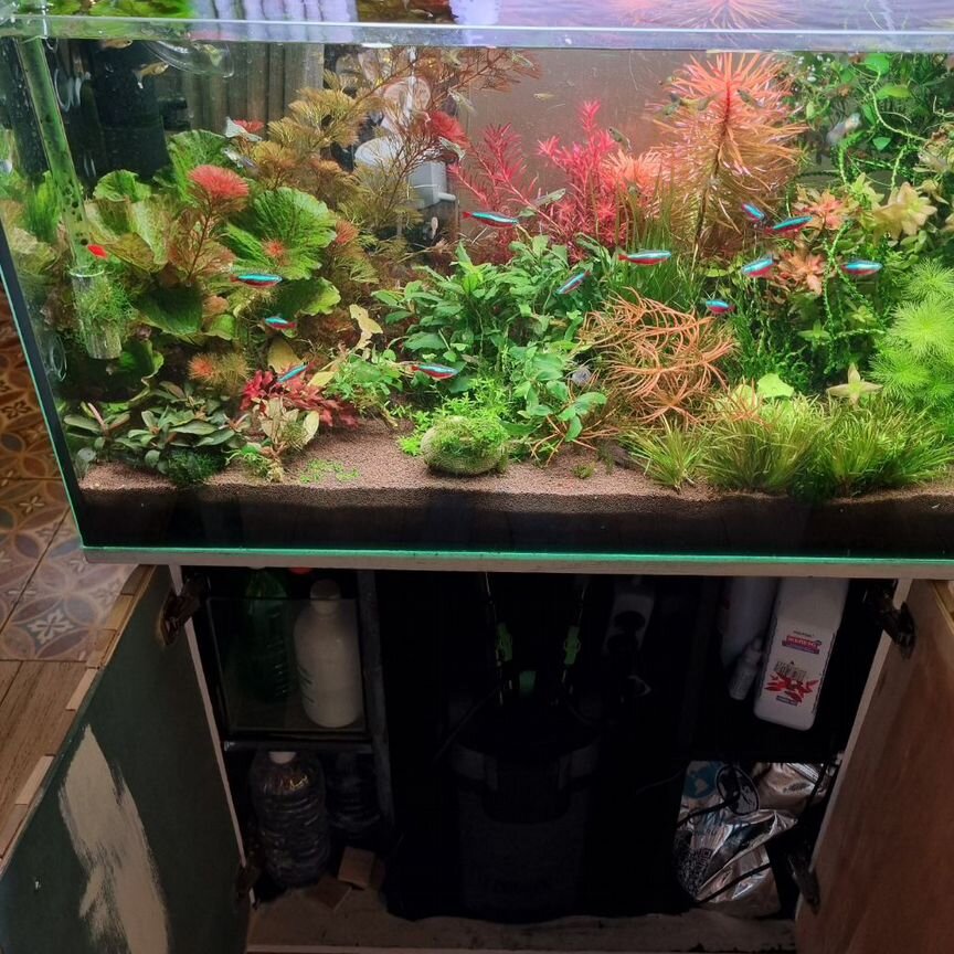 Аквариум 100 литров