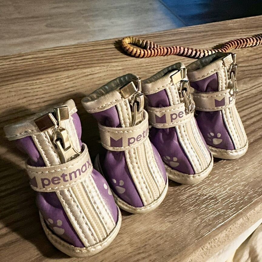 Обувь для маленьких собак