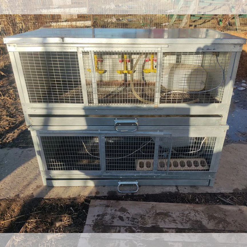 Брудеры для цыплят и клетка для перепёлок