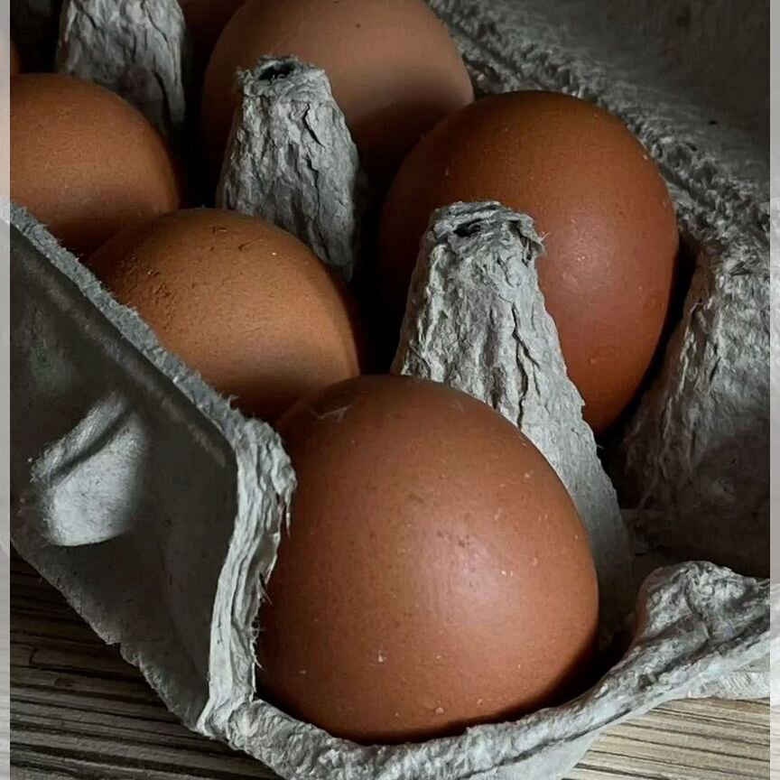 Домашние куриные яйца