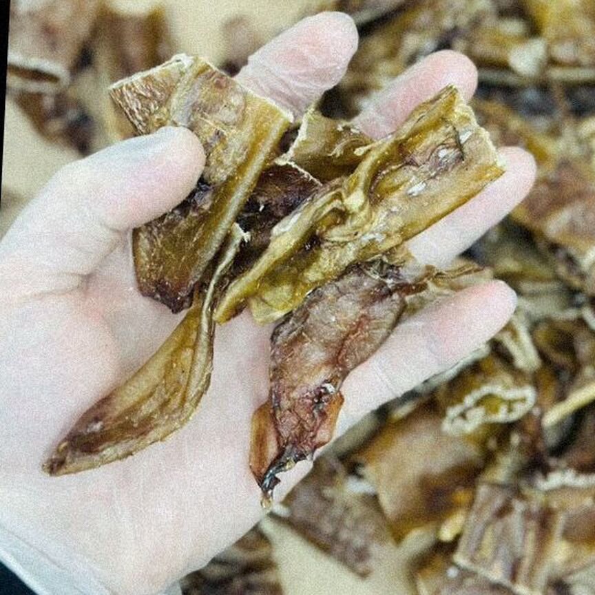 Аорта говяжья сушенная 500 гр. (5-10 см.)