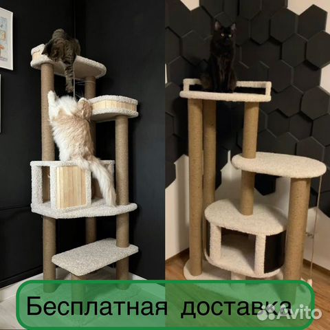 Когтеточка для мейн куна купить в Королеве | Животные и зоотовары | Авито