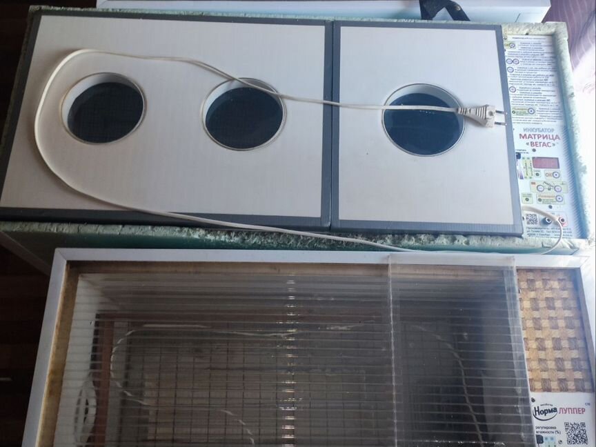 Инкубатор для яиц автоматический бу