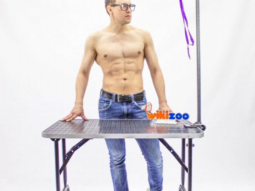 Стол для груминга складной (не китай)