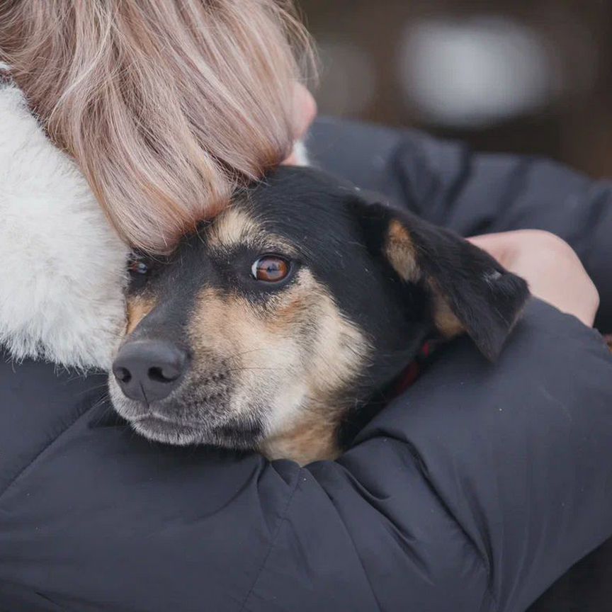 Эльзочка в самые ответственные ручки