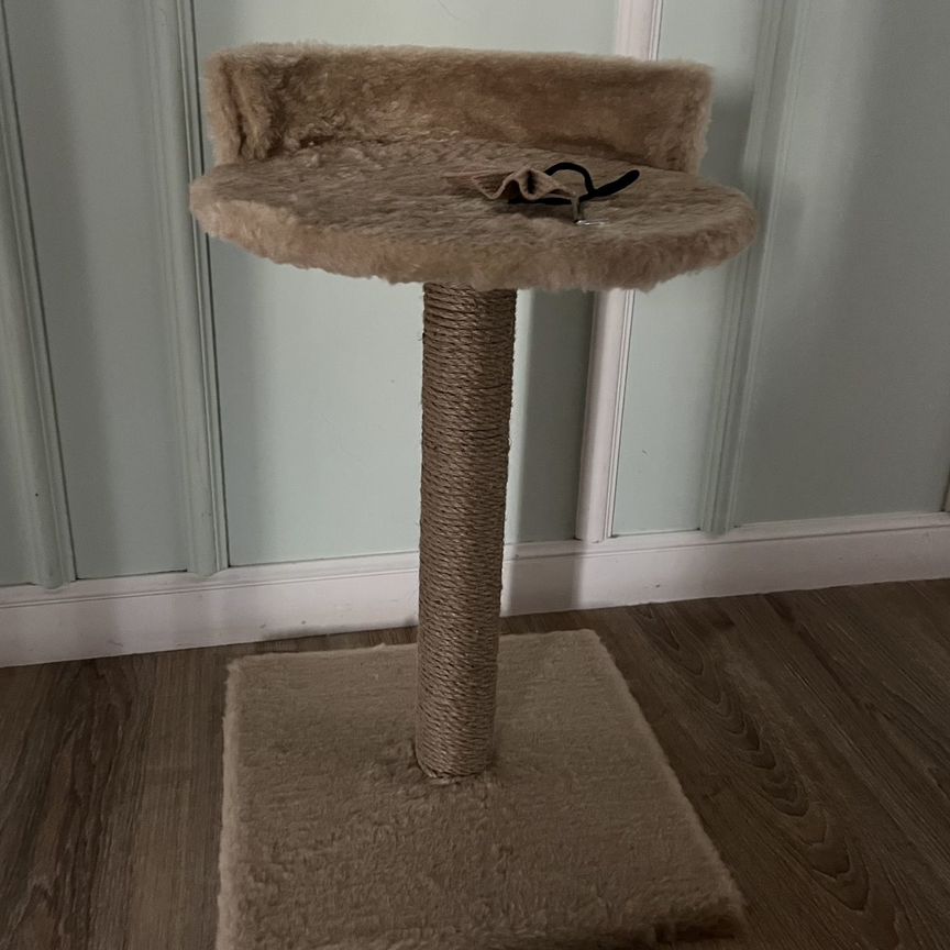 Когтеточка