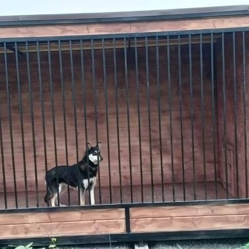Вольер для собак уличный
