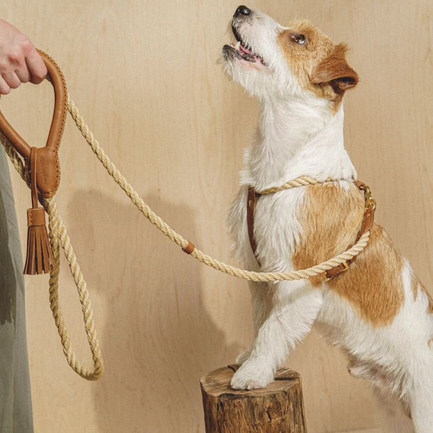 Шлейка hunting pony кантри M