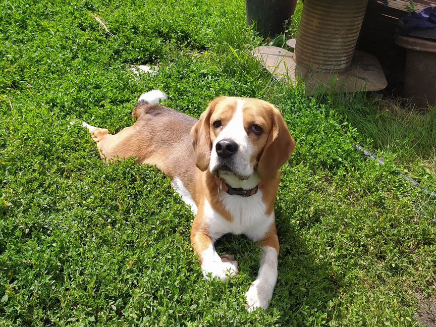 Кабель для вязки