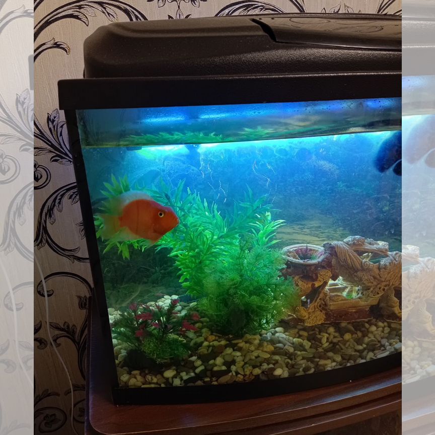 Продаю аквариум 120 литров с рыбками