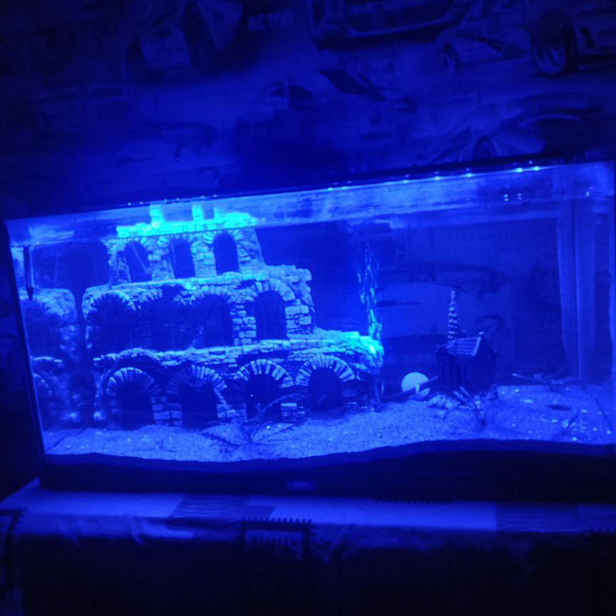 Аквариум 100л