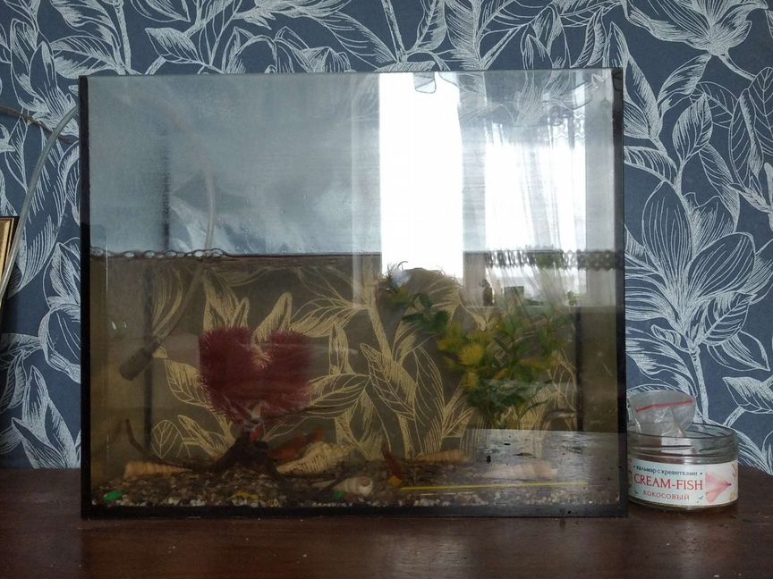 Аквариум