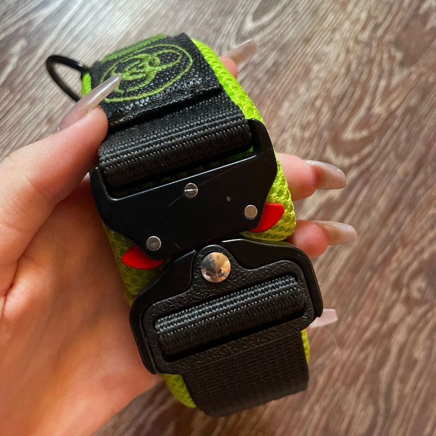 Ошейники для собак